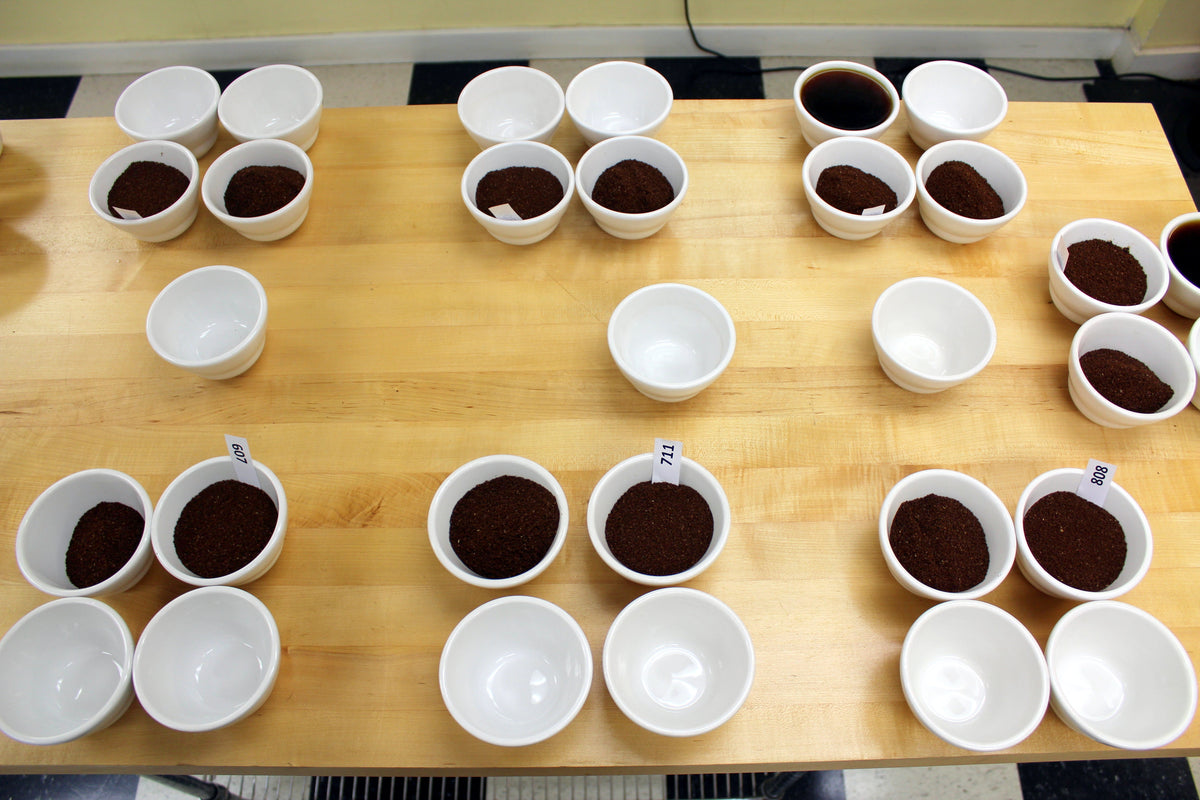 CLI School of Coffee Classes